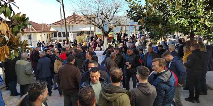 Κραυγή αγωνίας από τους αγρότες - Θεσπρωτική